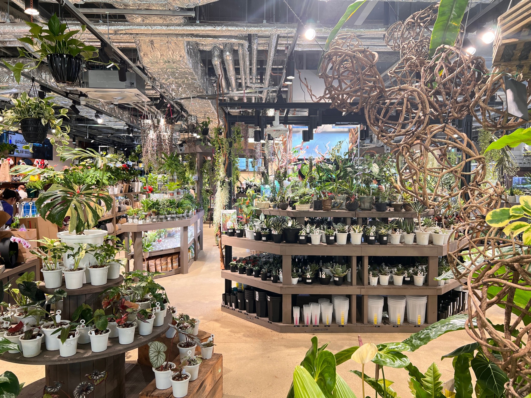 【大阪】新たなコーナン「gardens umekita」がオープン！植物とアクアリウムに特化？
